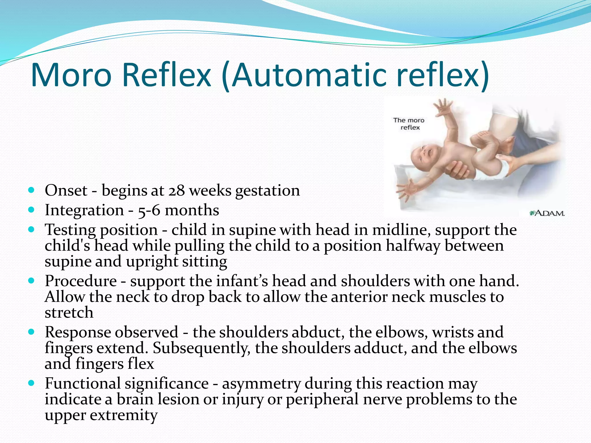 Neonatal reflexes by baneet | PPTX