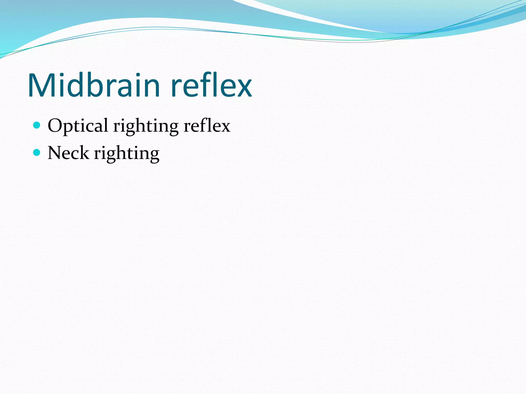 Neonatal reflexes by baneet | PPTX