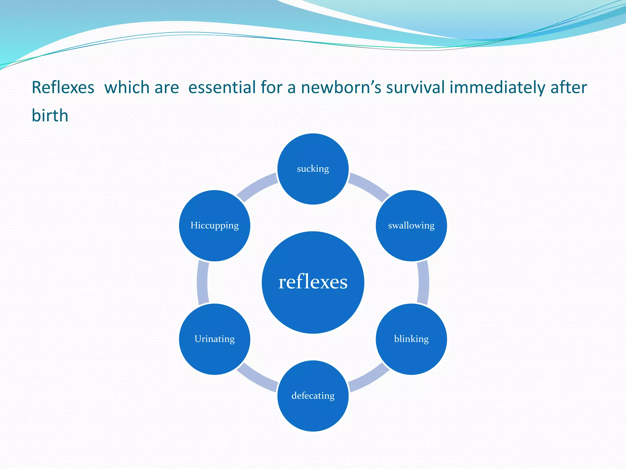 Neonatal reflexes by baneet | PPTX