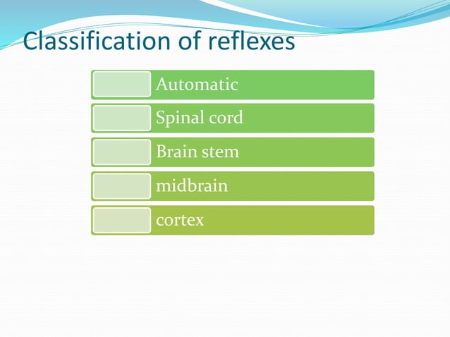 Neonatal reflexes by baneet | PPTX | Pregnancy | Reproductive Health