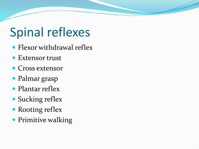 Neonatal reflexes by baneet | PPTX | Pregnancy | Reproductive Health