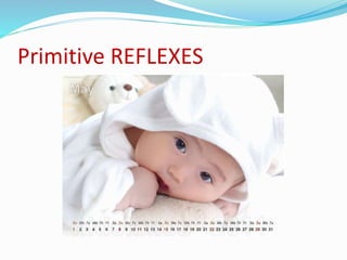 Neonatal reflexes by baneet | PPTX