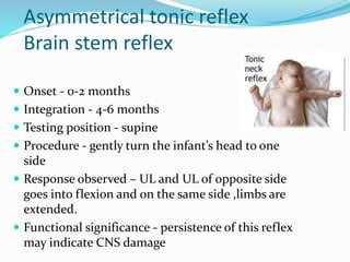 Neonatal reflexes by baneet | PPTX