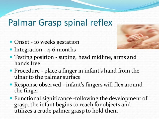 Neonatal Reflexes List