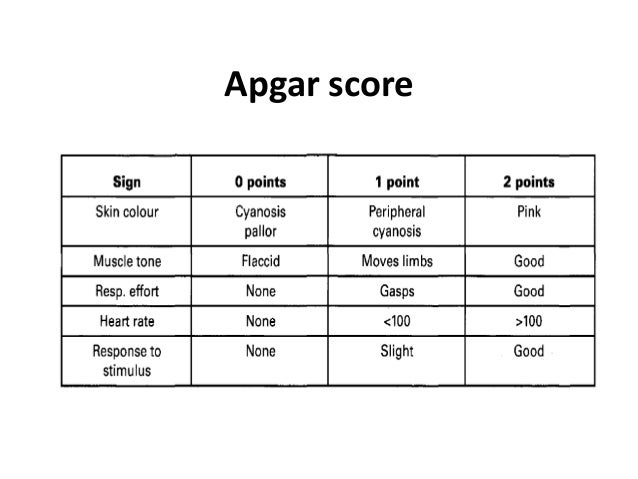 Neonatal resuscitation
