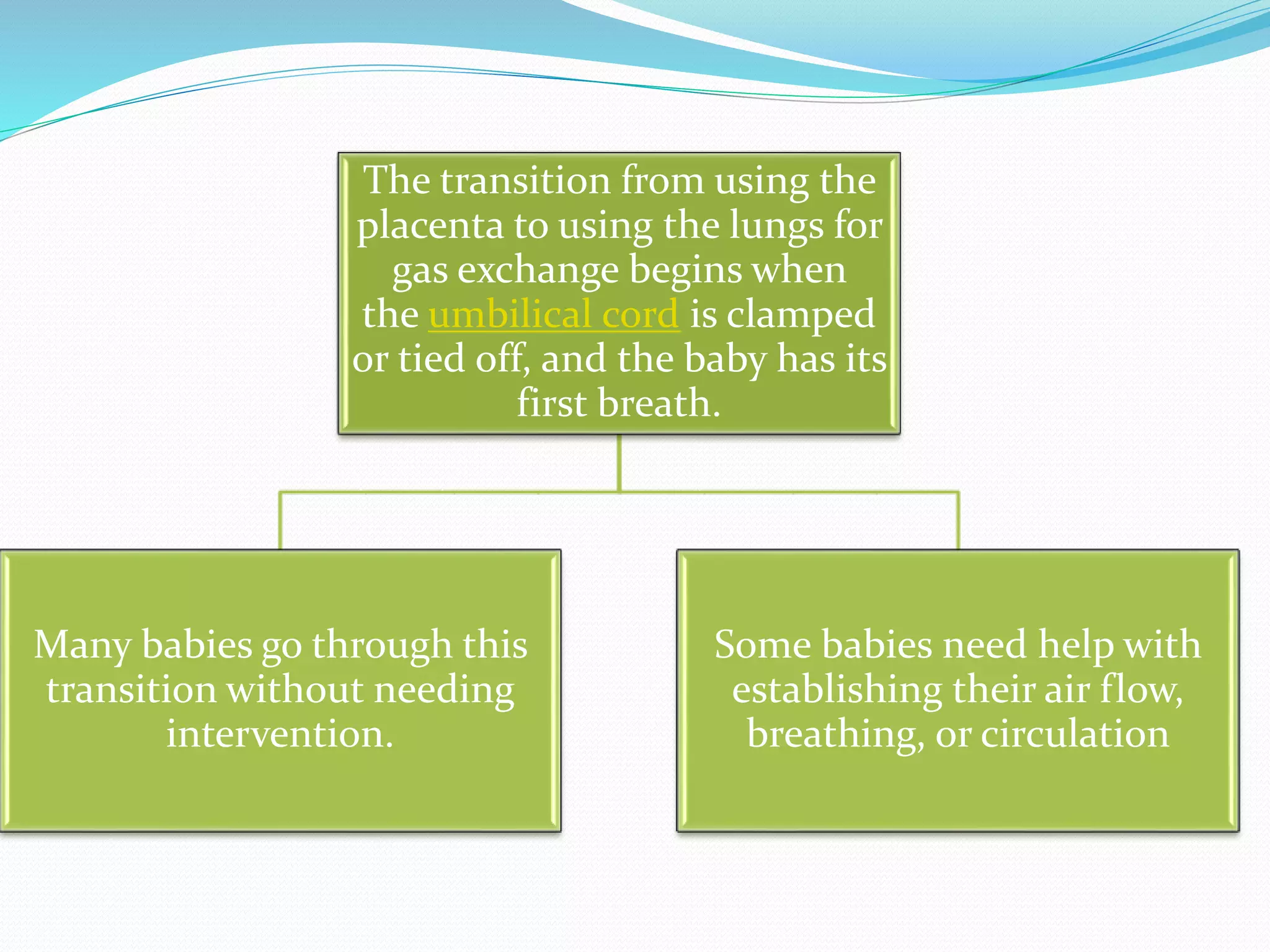 Neonatal resuscitation | PPTX