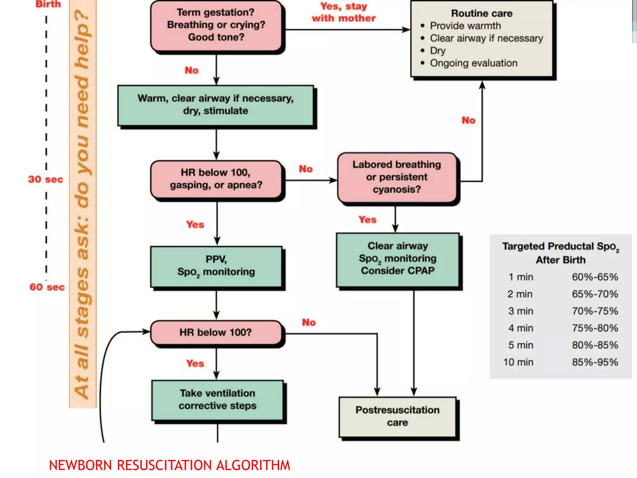 Neonatal resuscitation | PPTX