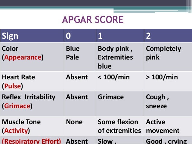 Neonatal resuscitation
