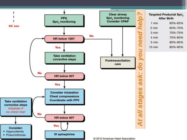 Neonatal resuscitation
