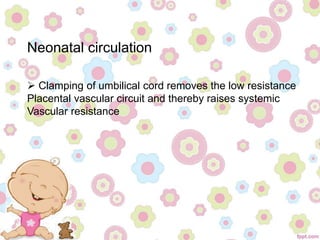 Neonatal Resuscitation | PPTX
