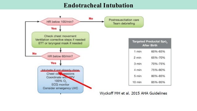 Neonatal resuscitation
