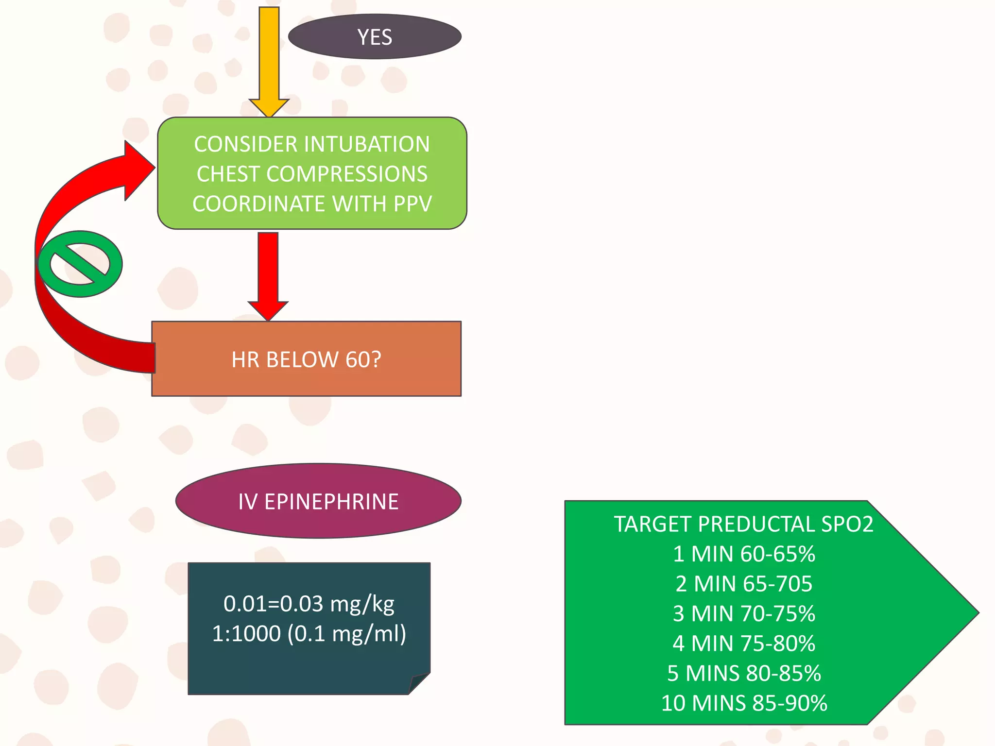 Neonatal resuscitation | PPTX