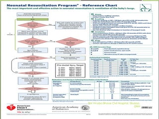 Neonatal resuscitation / Neonatal Resuscitation | PDF