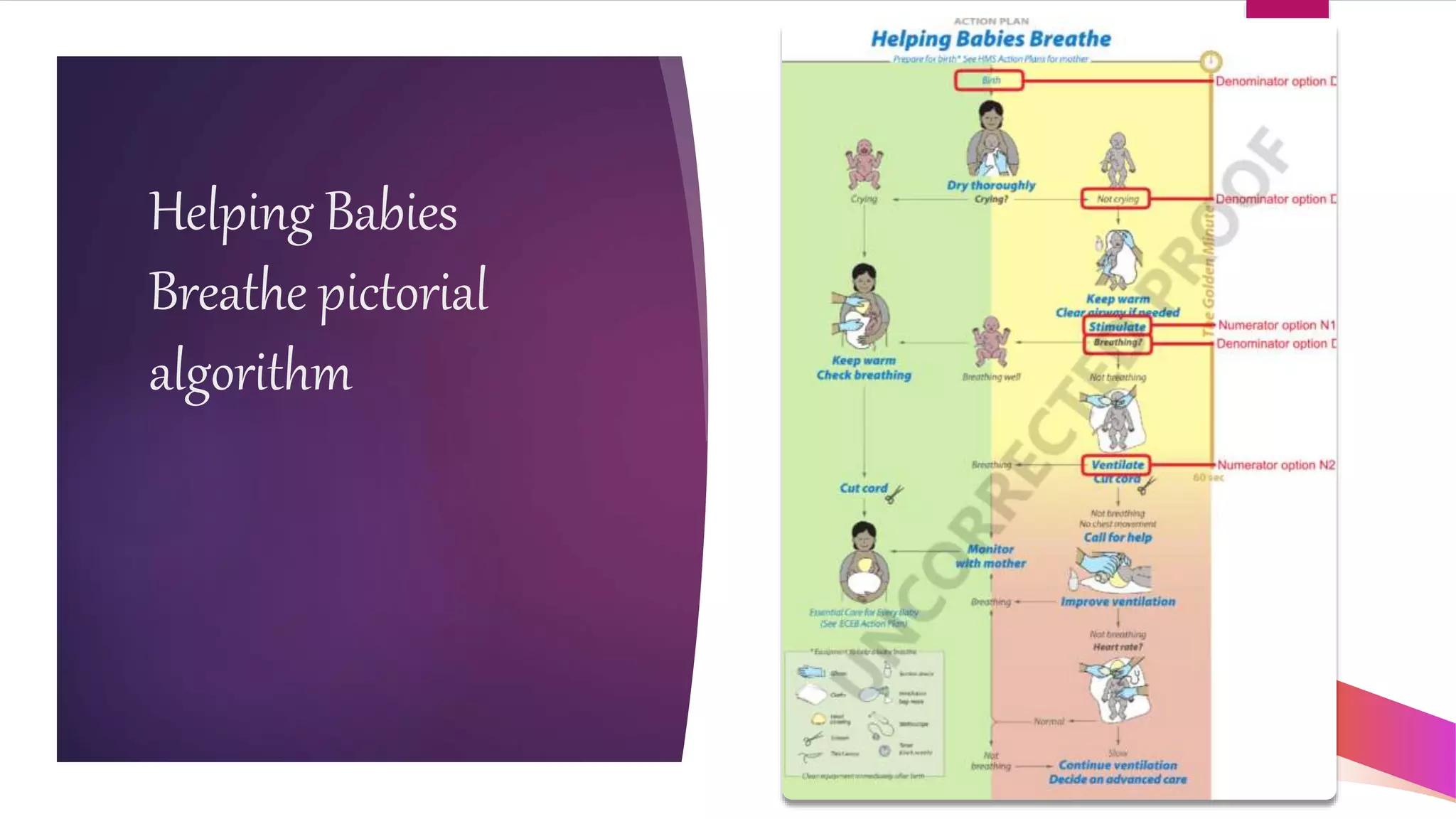 Neonatal resuscitation 8th | PPTX