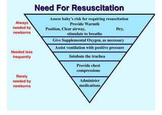 Neonatal Resuscitation | PPT