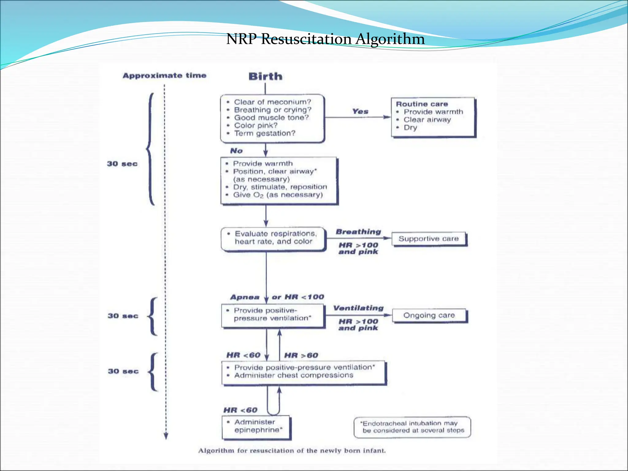 NEONATAL RESUSCITATION.ppt