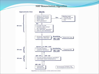 NEONATAL RESUSCITATION.ppt