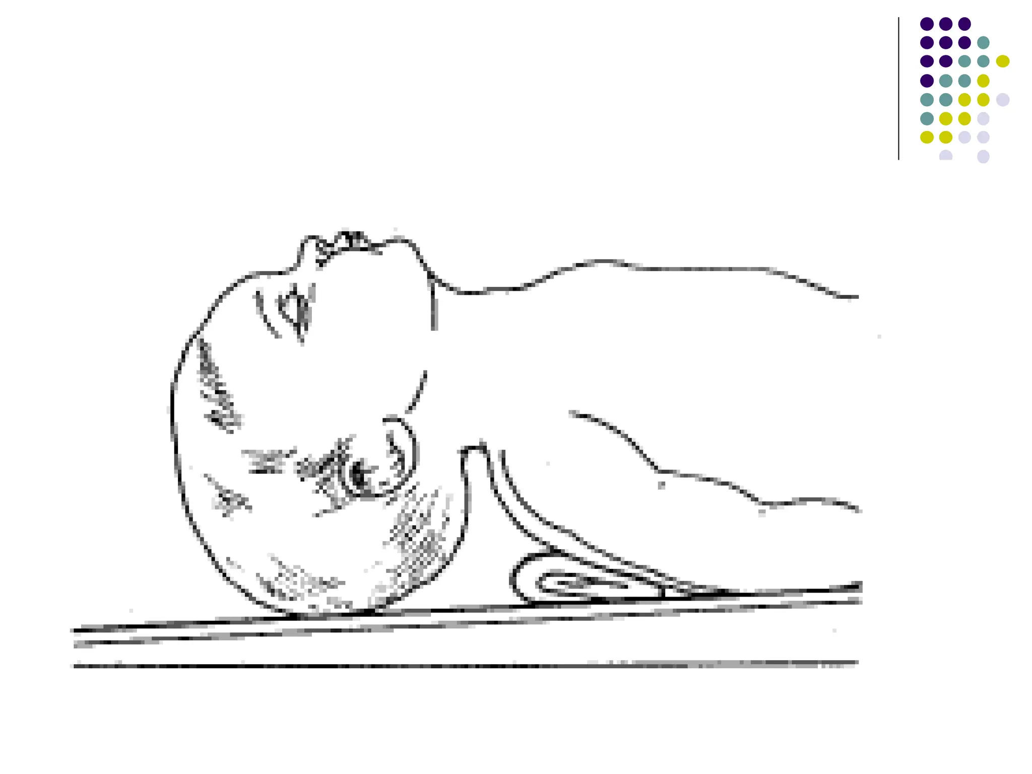Neonatal Resuscitation Paediatrics Neonatology.pptx