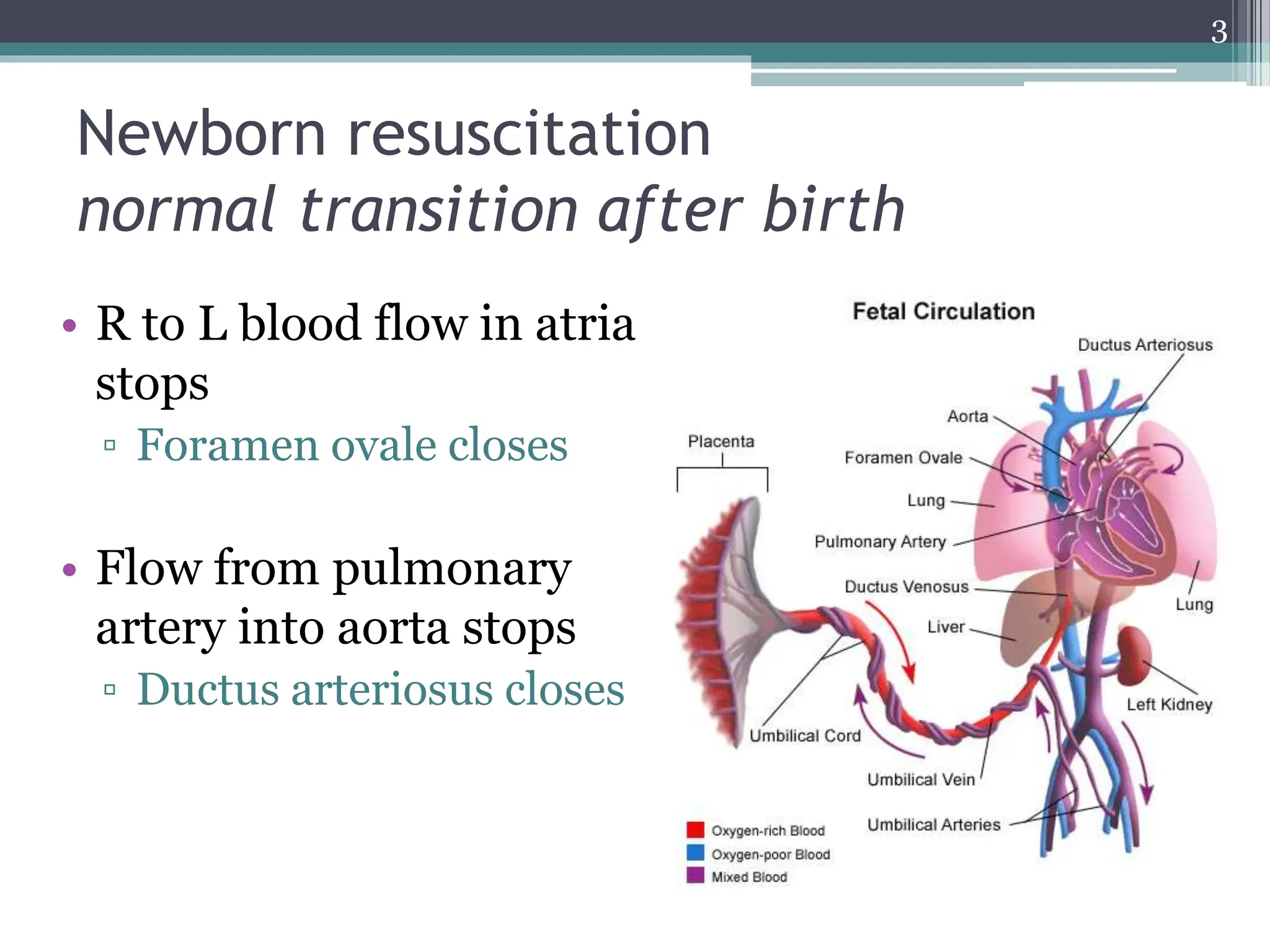 Neonatal resuscitation.pptx for health professional | PPTX