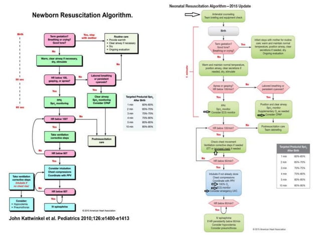 Neonatal resuscitation 2015 aha guidelines update for cpr | PPTX