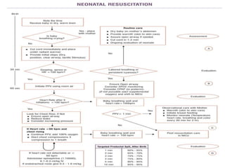 Nrp Study Guide 2022