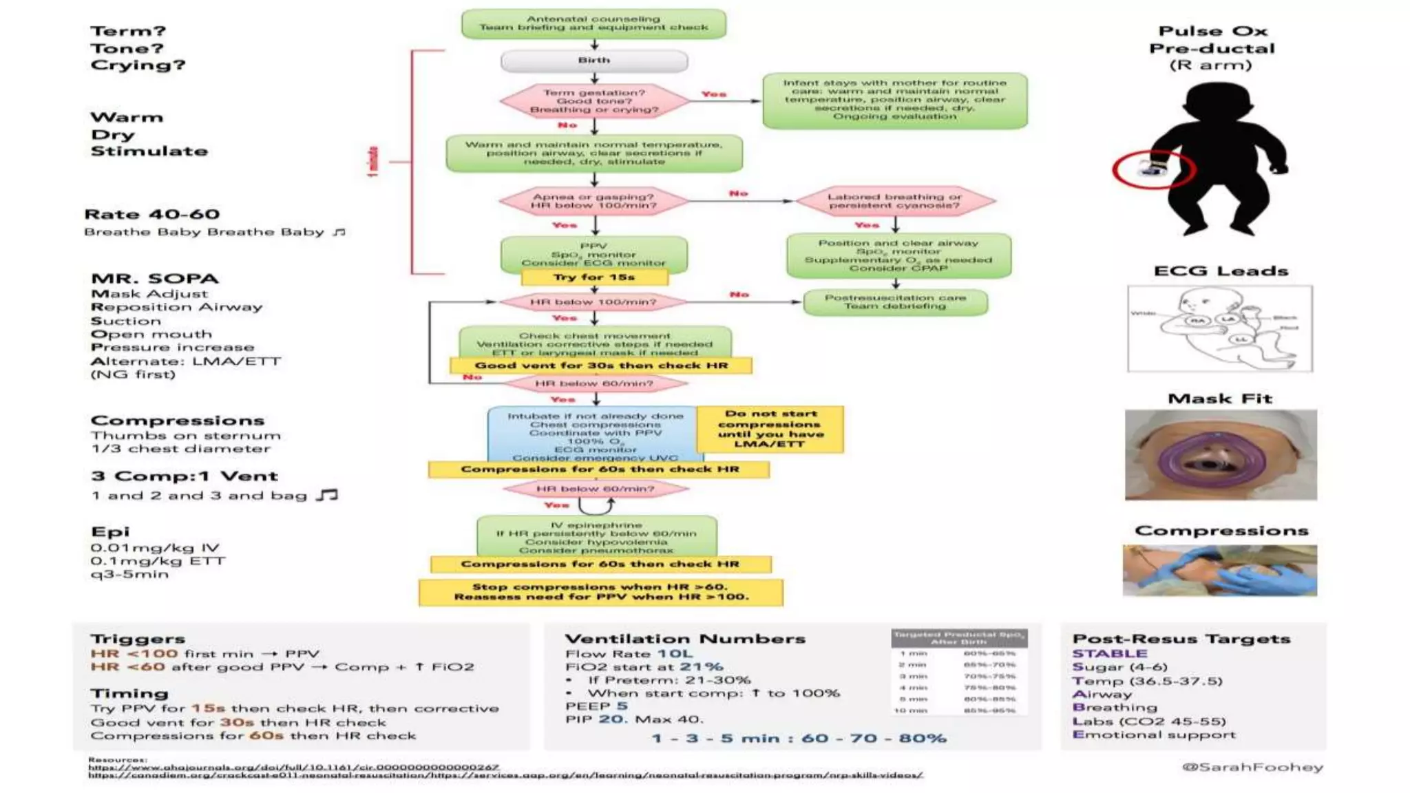 Neonatal Resuscitation Dr. Ammar Ahmed.pptx