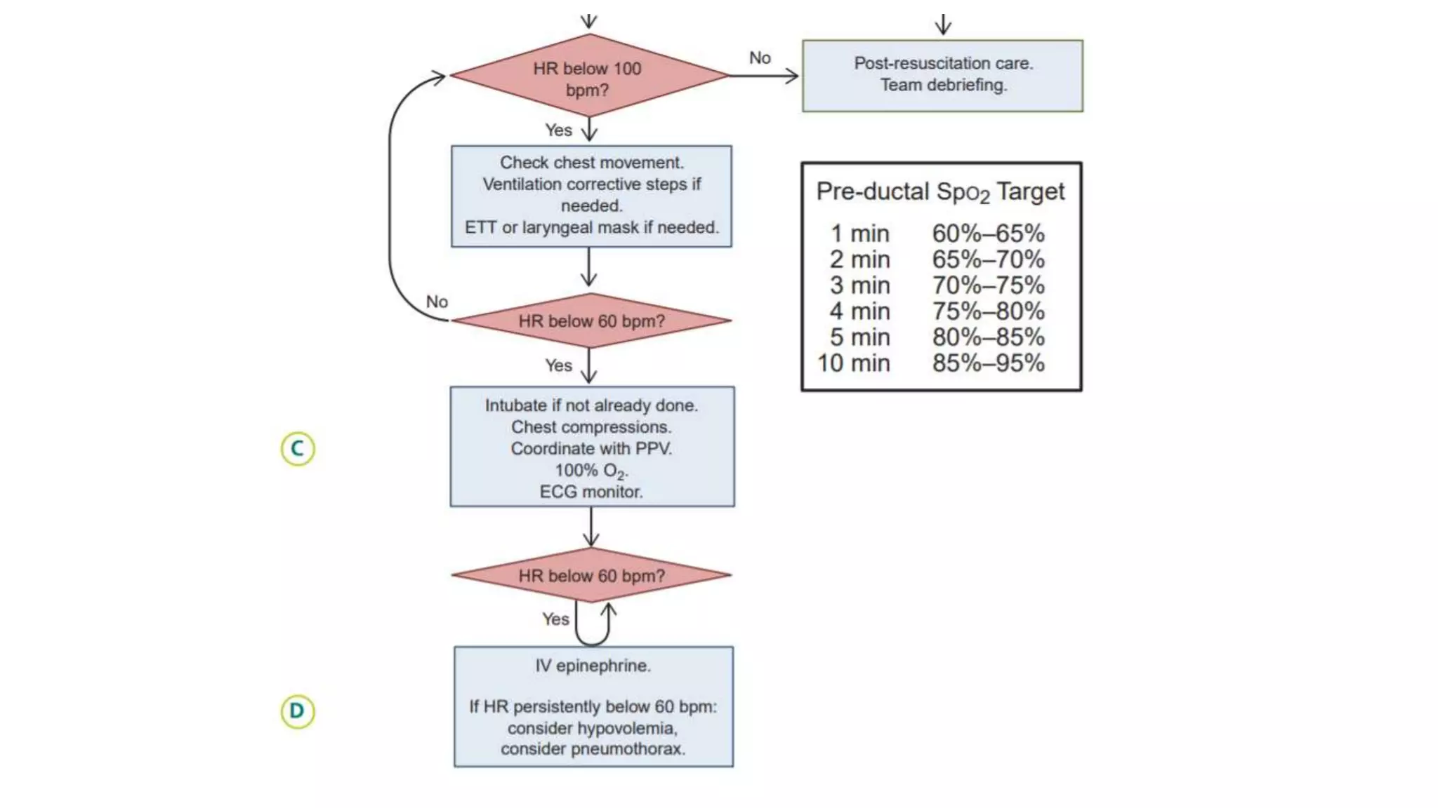 Neonatal Resuscitation Program NRP | PPTX