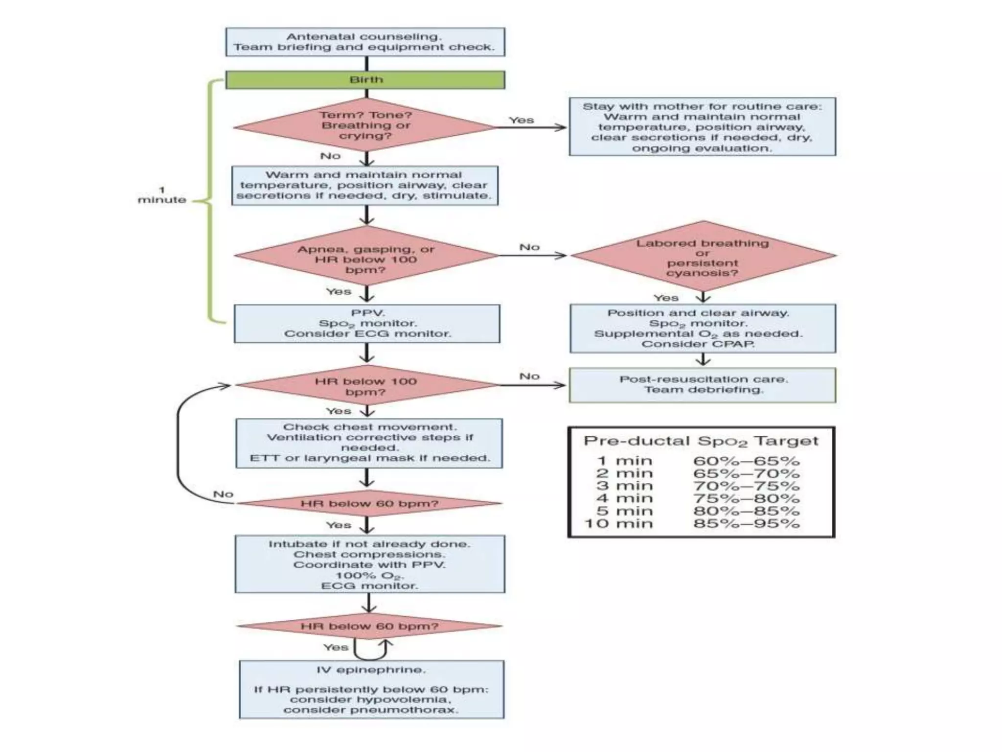 Neonatal resuscitation | PPTX