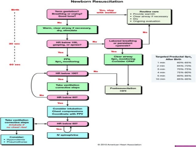 Neonatal resuscitation part 2 by dr.saleem