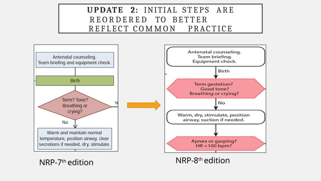 Neonatal Resuscitation Program-8th edition update.pptx