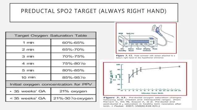 Neonatal resuscitation program 8 th edition updates | PPTX | First Aid ...