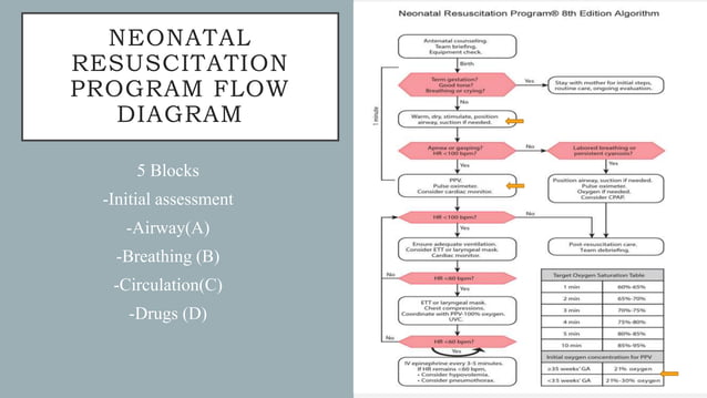 Neonatal resuscitation program 8 th edition updates