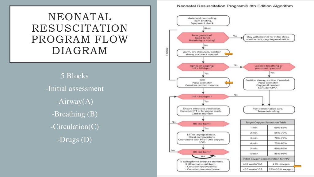 Neonatal resuscitation program 8 th edition updates