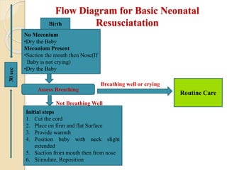 Neonatal Resuscitation | PPT