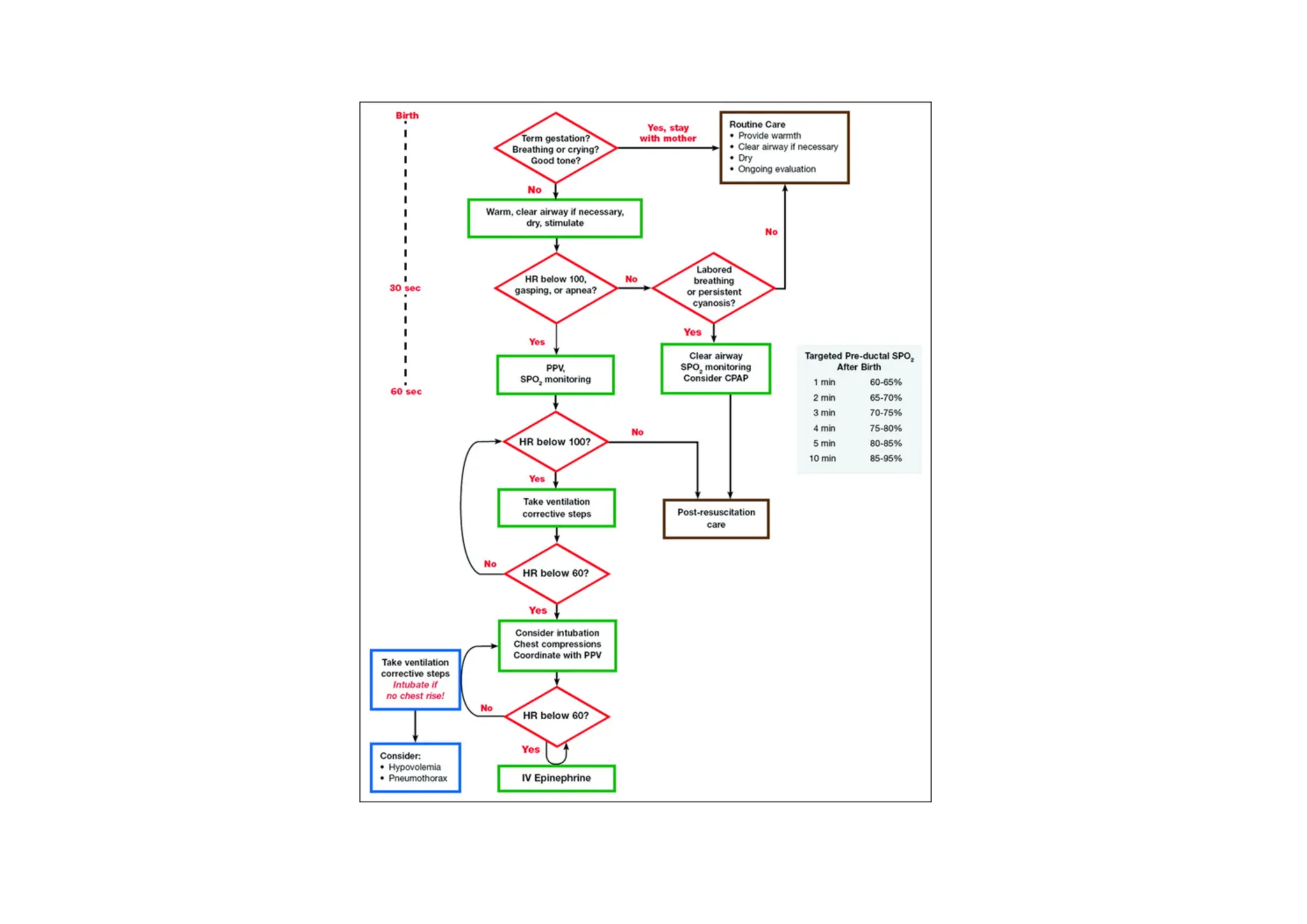 NnnnnNeonatal Resuscitation shortttt.pdf | First Aid | Injuries