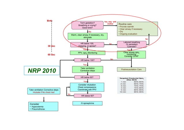 NnnnnNeonatal Resuscitation shortttt.pdf | First Aid | Injuries