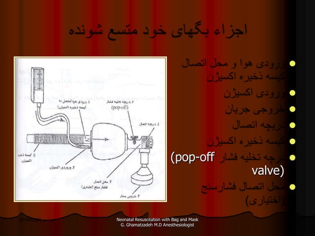 Neonatal resuscitation with bag & mask | PPSX | First Aid | Injuries