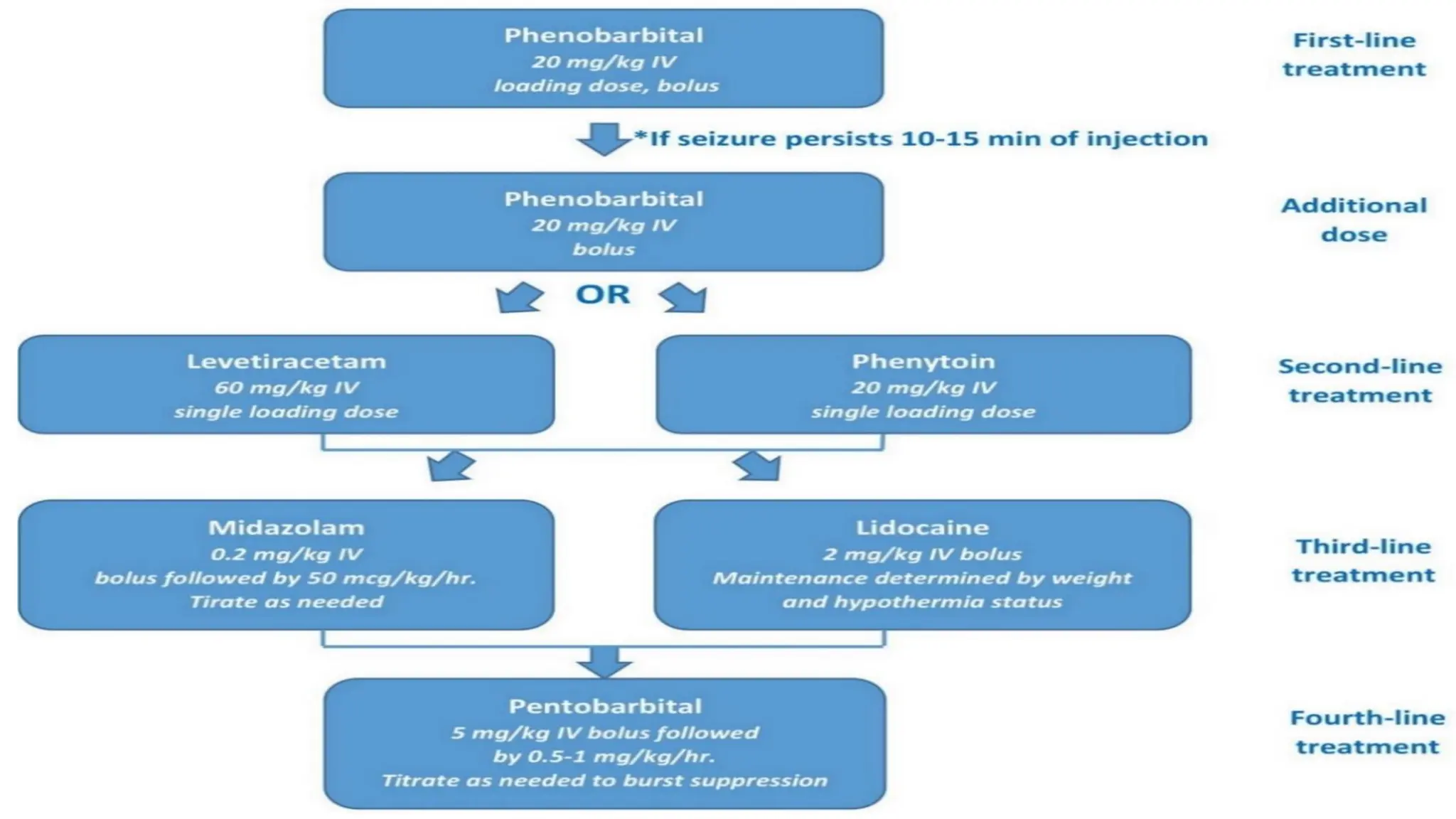 OPERATIVE OBSTETRIC NEONATAL SEIZURE IN NEWBORN | PPTX