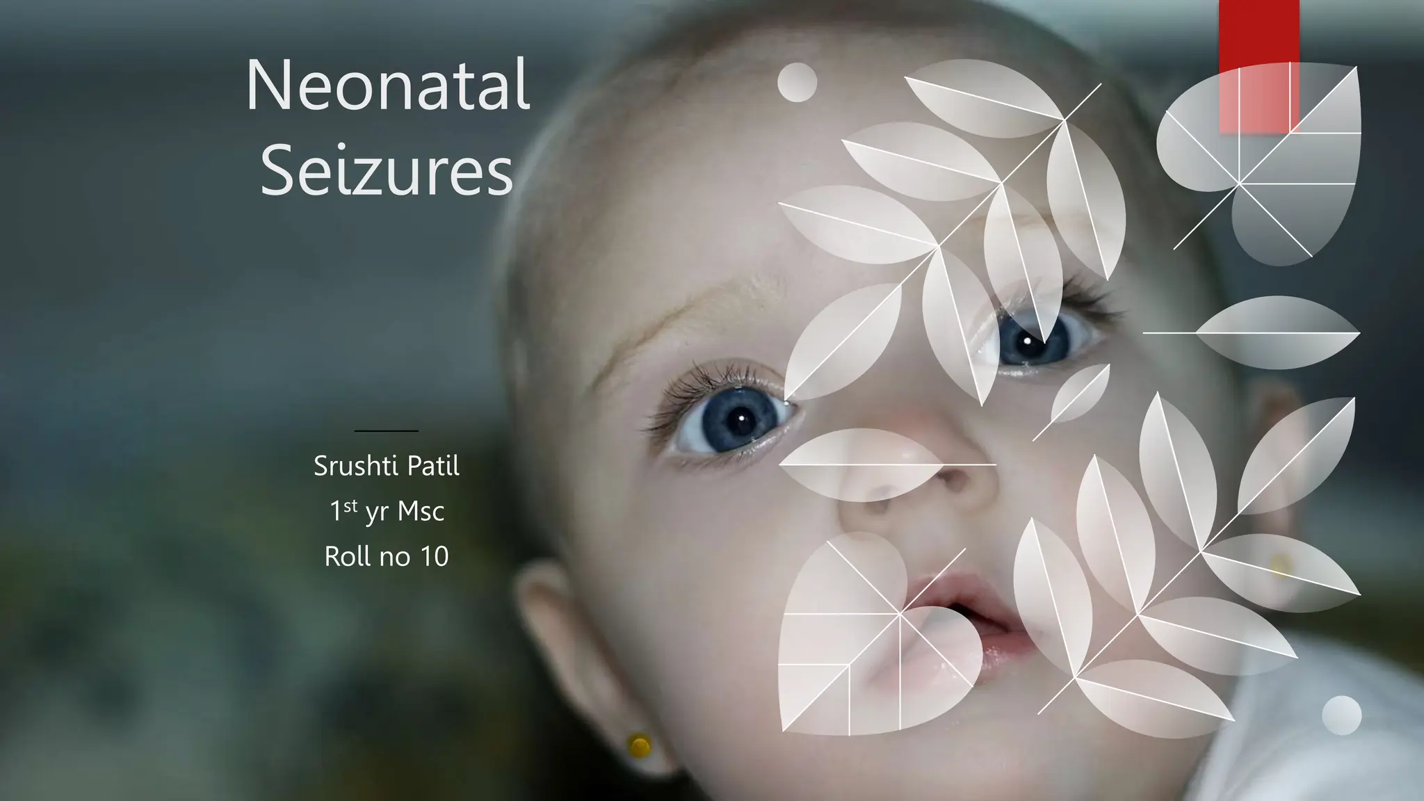 NeoNatal Seizures.pptx