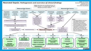 Pathophysiology Of Sepsis Neonatorum