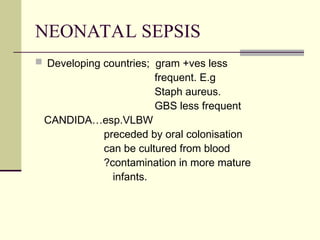 NEONATAL SEPSIS.ppt clinical medicine and surgery 2nd year | PPT