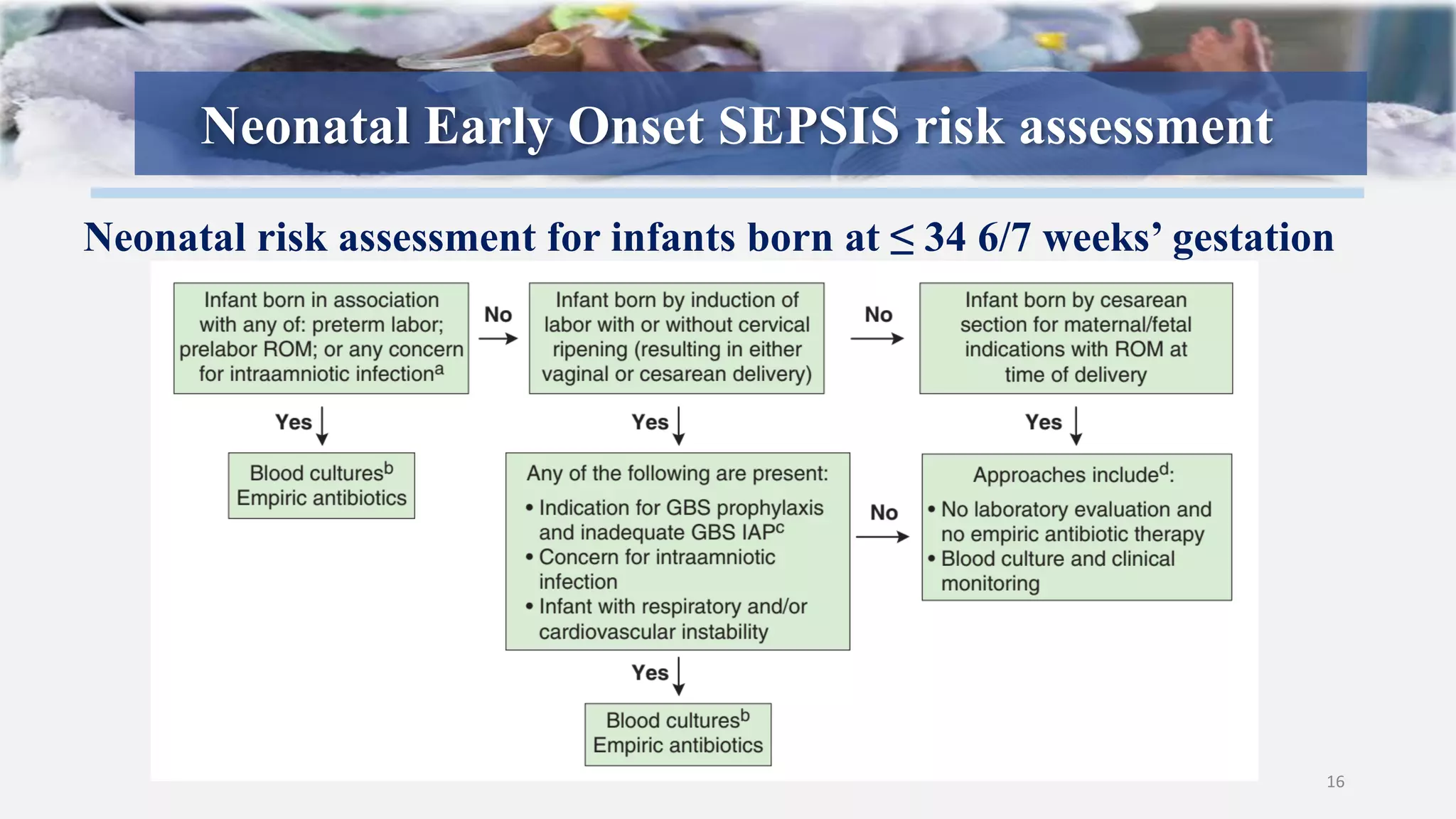 Neonatal sepsis : overview of epidemiology, pathogenesis ...