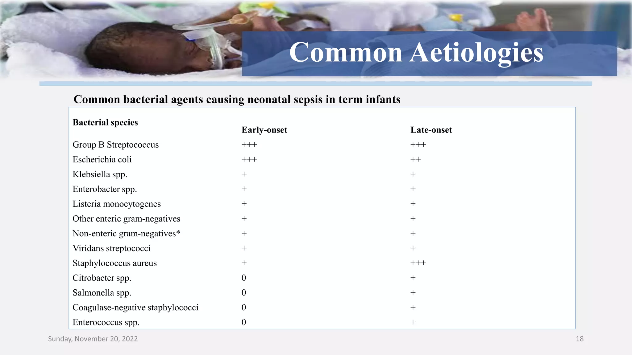 Neonatal sepsis : overview of epidemiology, pathogenesis ...
