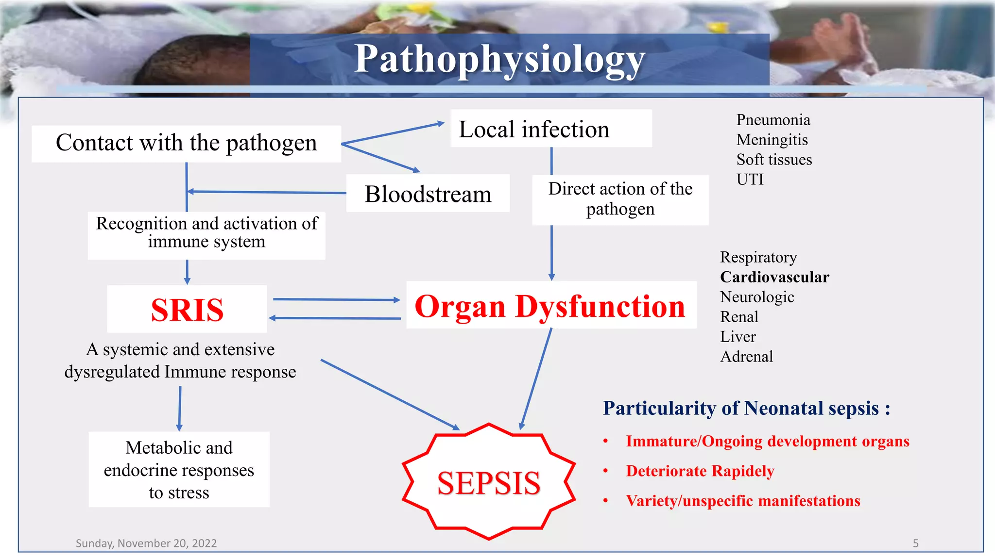 Neonatal Sepsis Overview Of Epidemiology Pathogenesis
