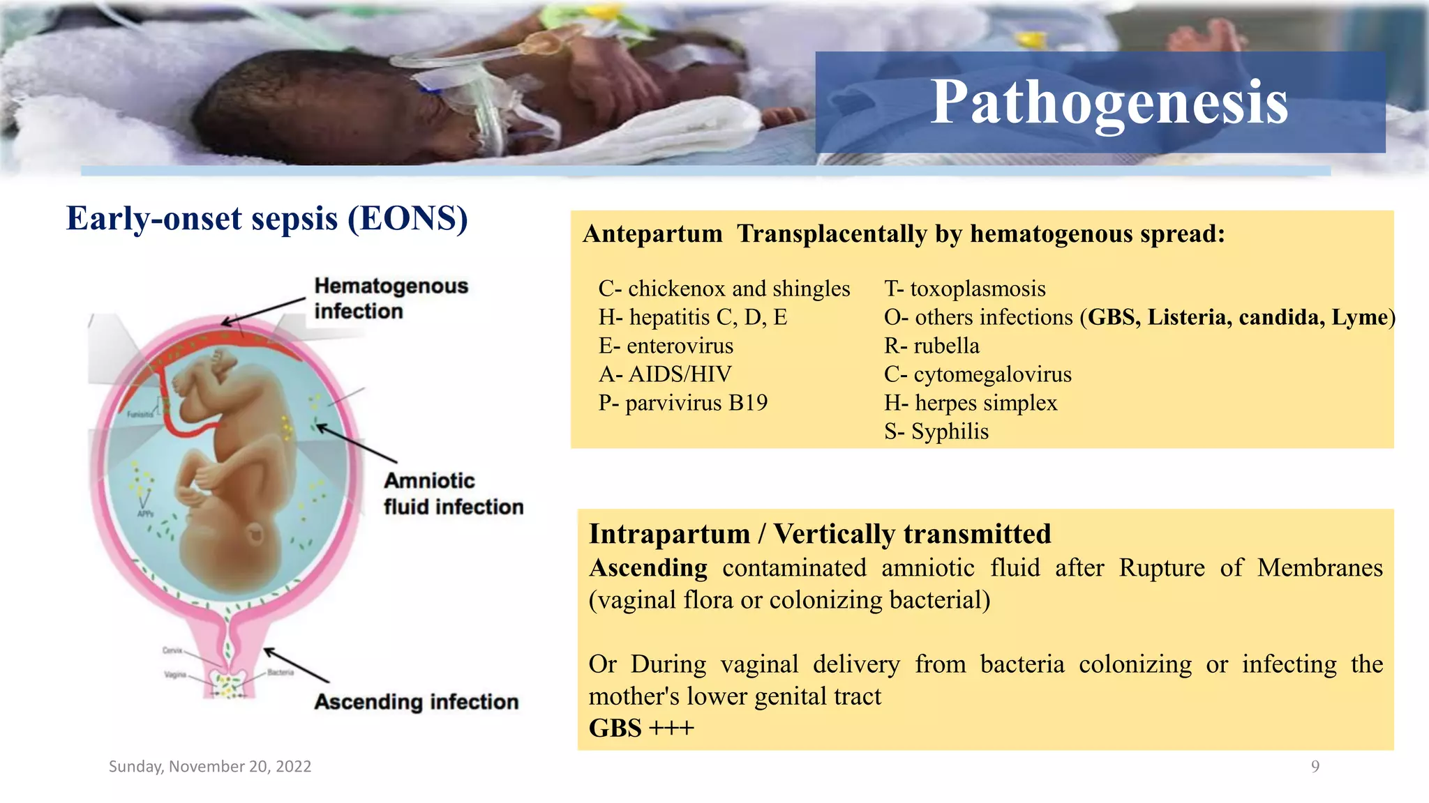 Neonatal sepsis : overview of epidemiology, pathogenesis ...