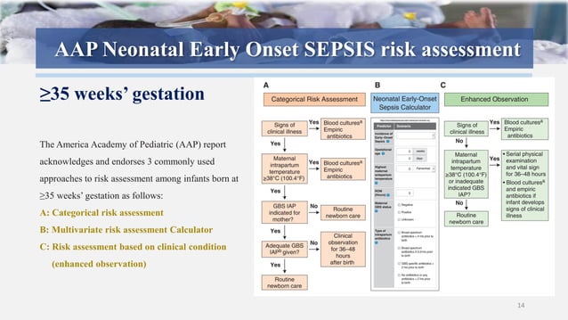 Neonatal sepsis : overview of epidemiology, pathogenesis ...