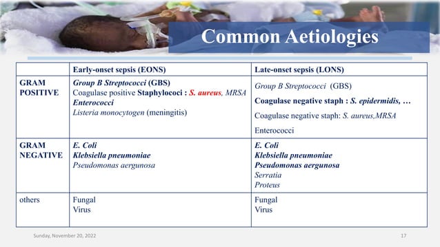 Neonatal sepsis : overview of epidemiology, pathogenesis ...
