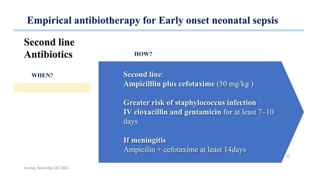 Neonatal sepsis : overview of epidemiology, pathogenesis ...