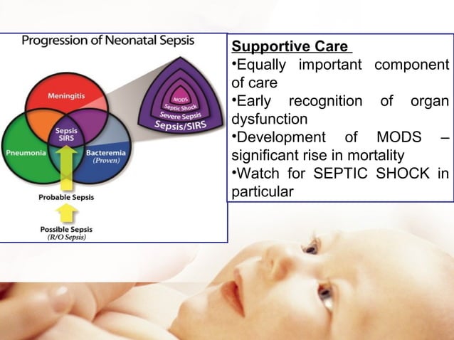 Neonatal sepsis management | PPT
