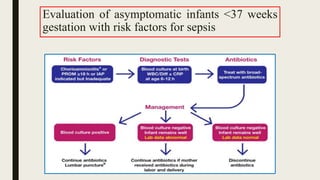 Neonatal sepsis protocols | PPTX